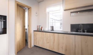 Minimalist Door Designs for Modern Indian Homes: Timeless Elegance by ...